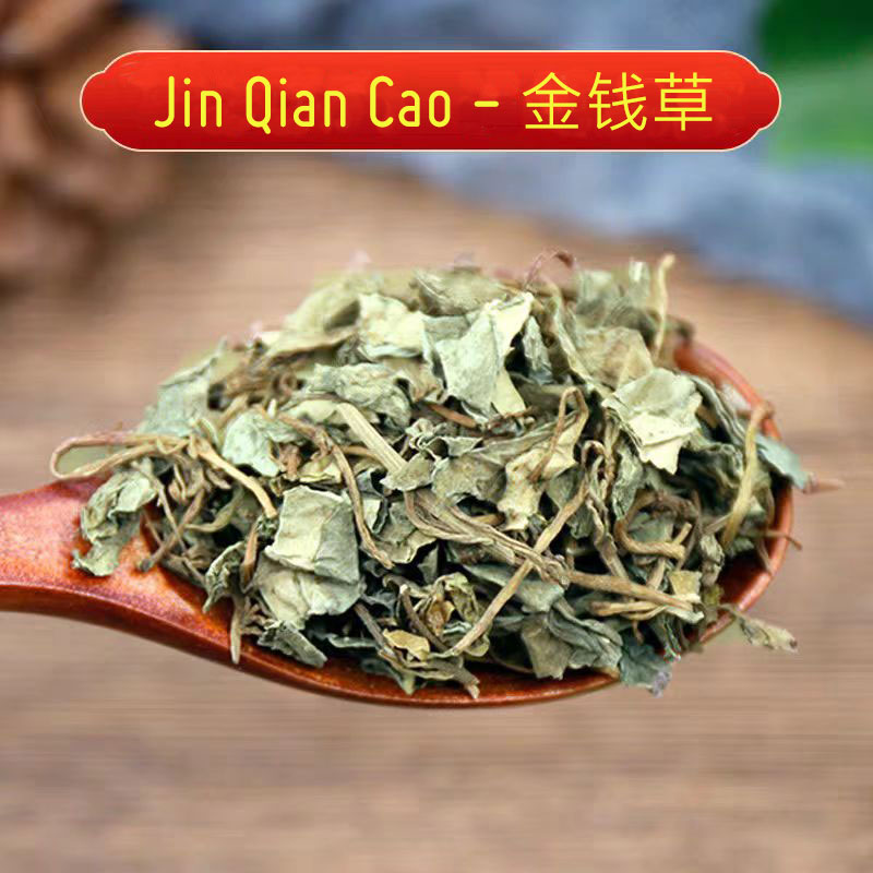 Herbe de lysimachia (Jin Qian Cao) | Herbes Yin Yang